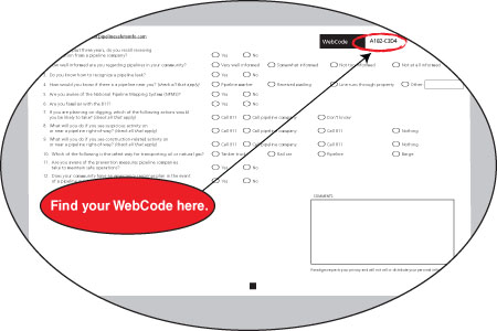 Online Survey System